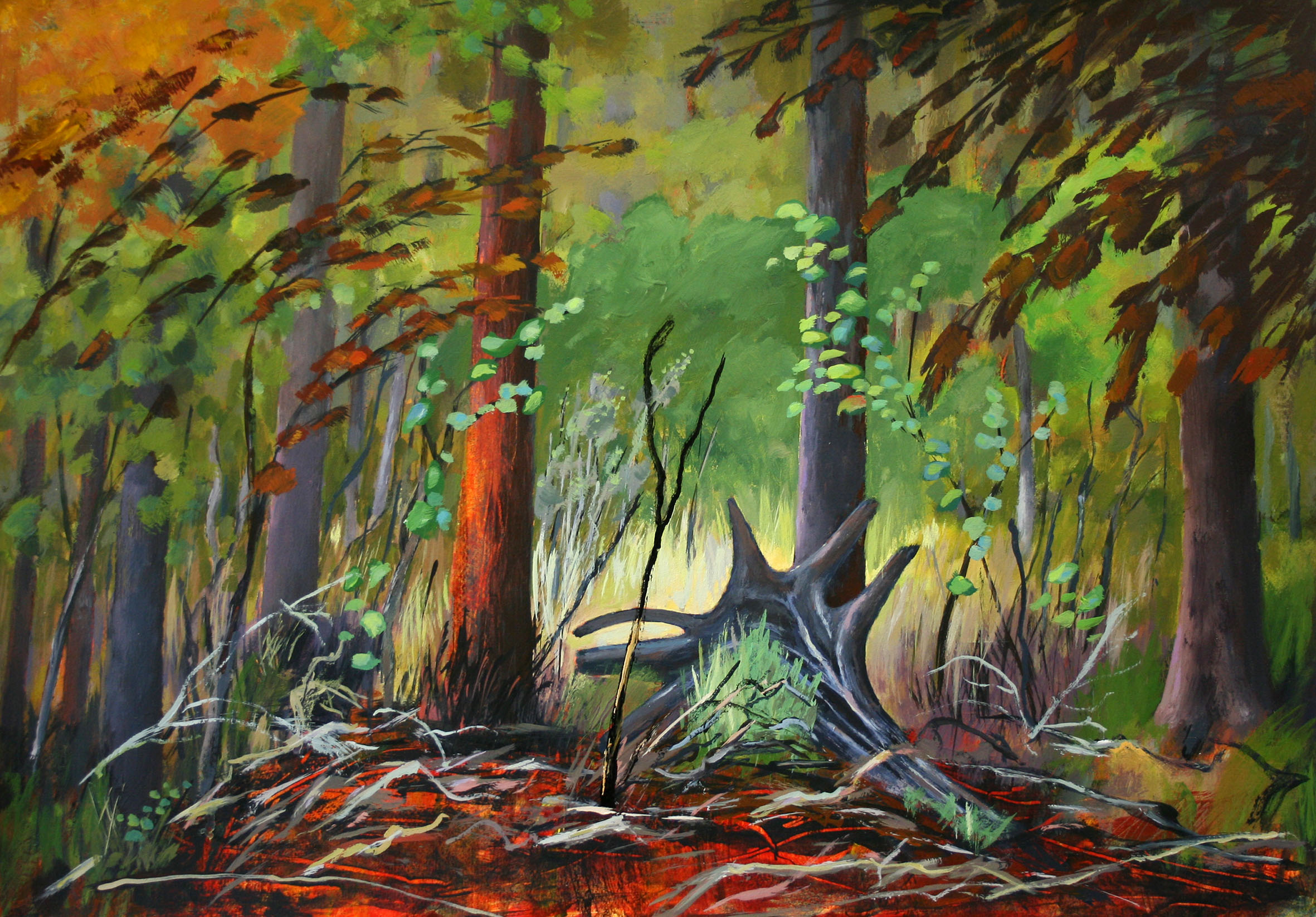 “The Unformed Road” – David Carroll – Visual Artist